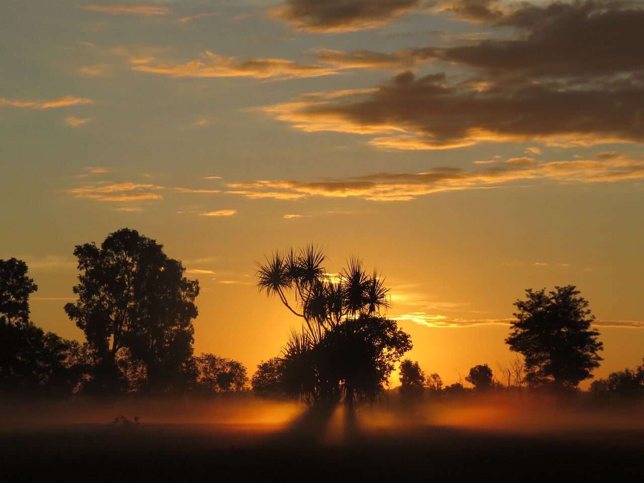 New Ownership for NT Bird Specialists - Birdwatching Tours Northern ...